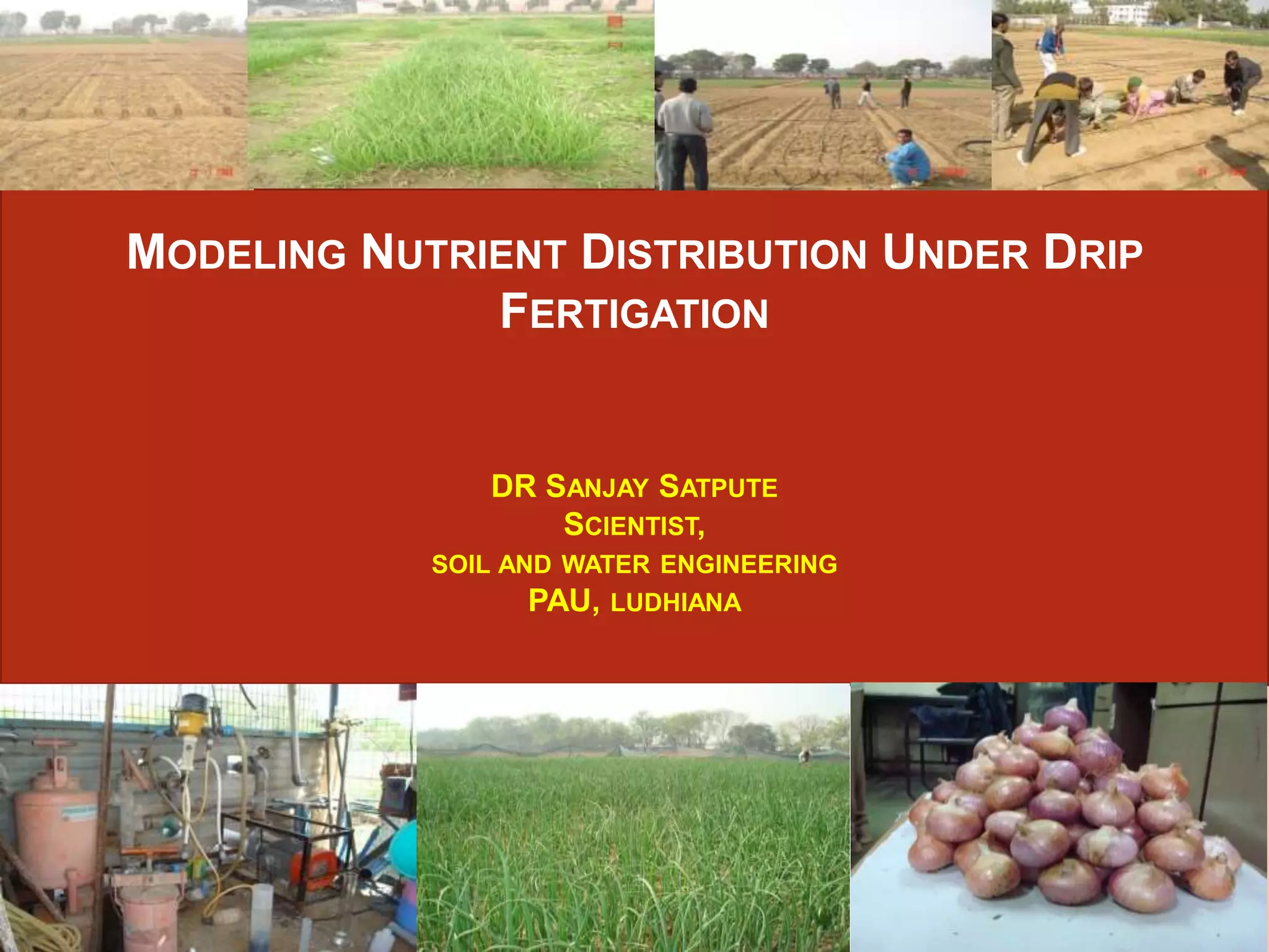 Modeling Nutrient Distribution Under Drip Fertigation | PPT