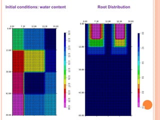 Modeling Nutrient Distribution Under Drip Fertigation | PPTX
