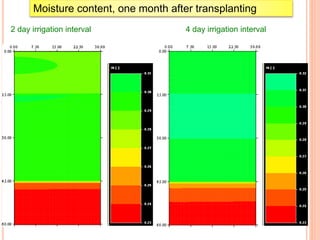 Modeling Nutrient Distribution Under Drip Fertigation | PPT