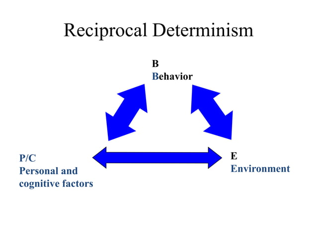 Modeling selfregulation | PPTX