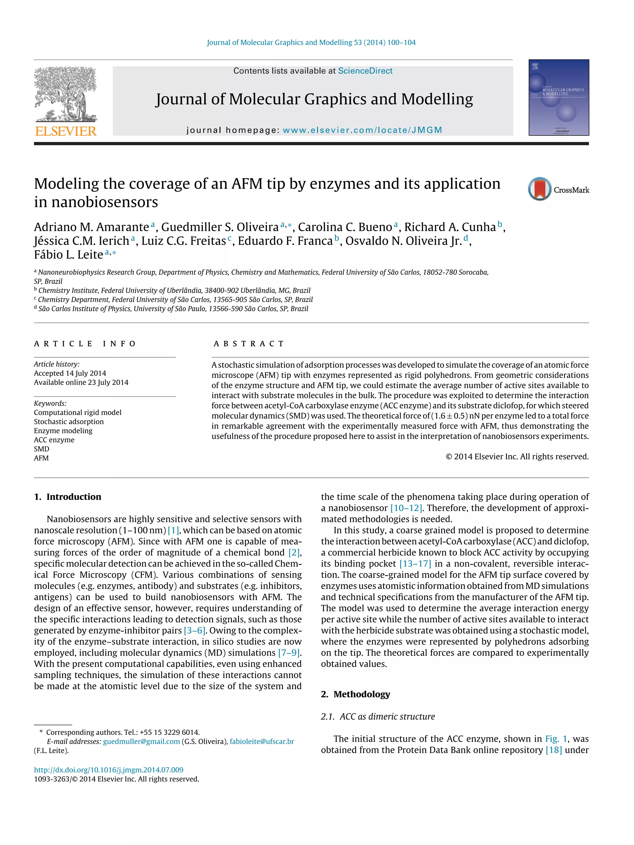 Modeling the coverage of an afm tip by enzymes and its applicationin ...