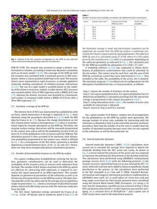 Modeling the coverage of an afm tip by enzymes and its applicationin ...