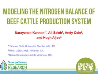 Modeling the nitrogen balance of beef cattle production system | PPTX