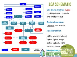 Modeling the nitrogen balance of beef cattle production system | PPTX
