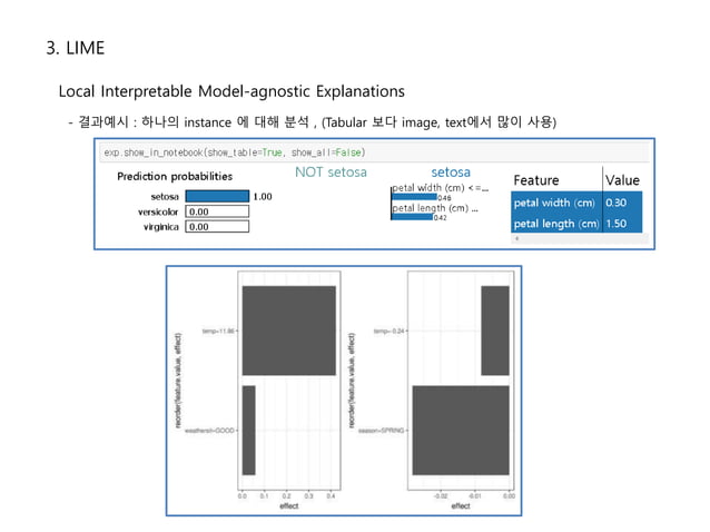 Model interpretation | PPT