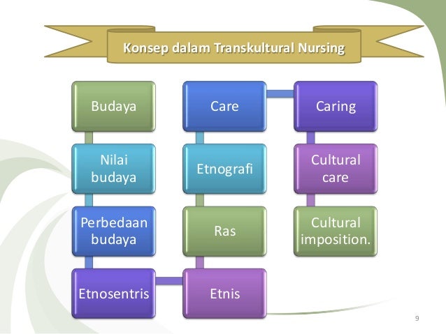 Model konsep dan teori keperawatan