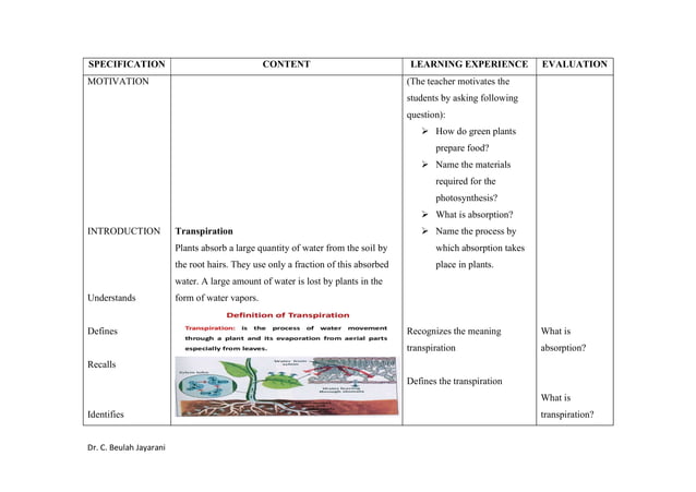 Model lesson plan i & ii | PPT