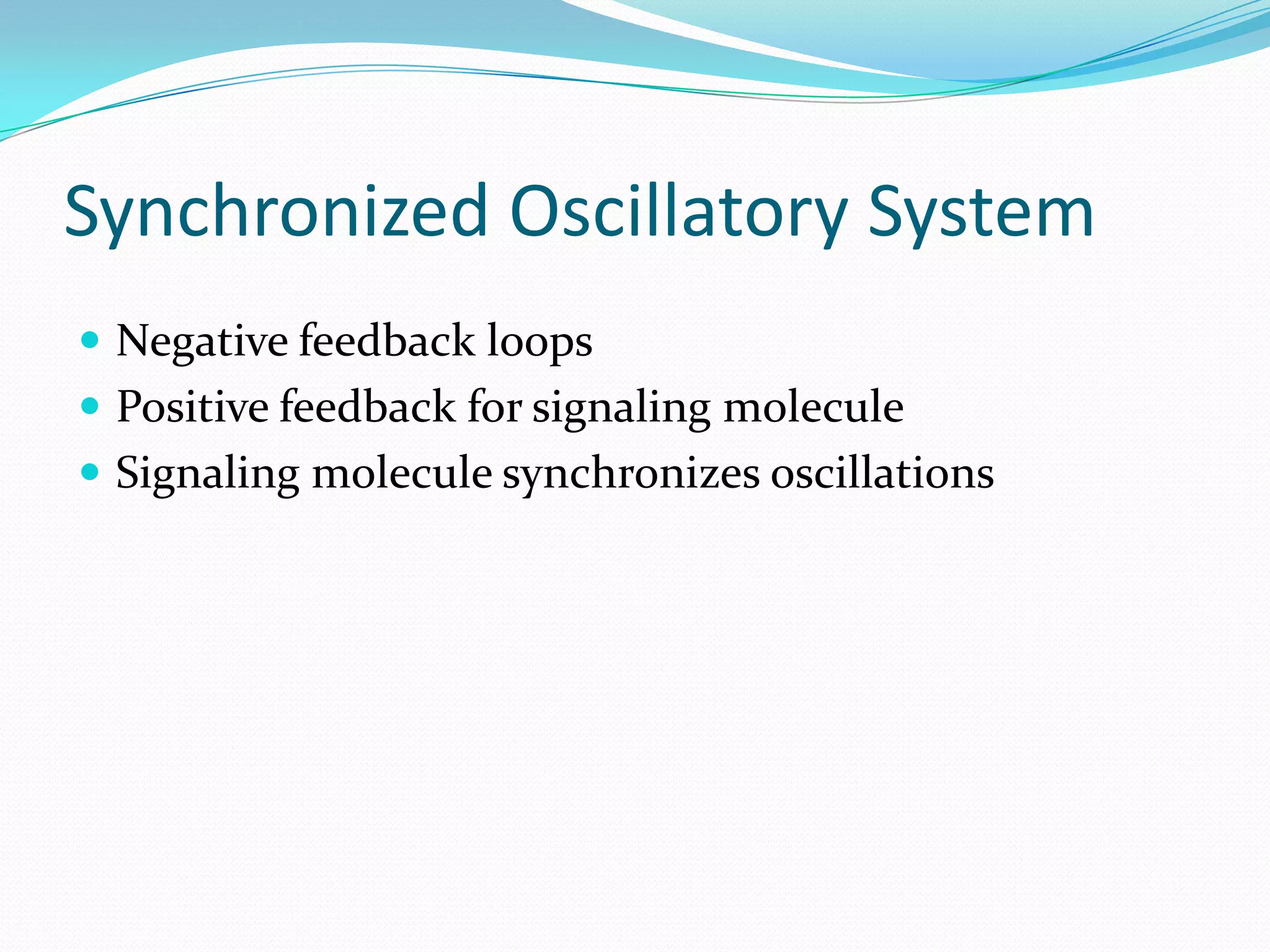 Modelling a synthetic genetic oscillator | PPTX
