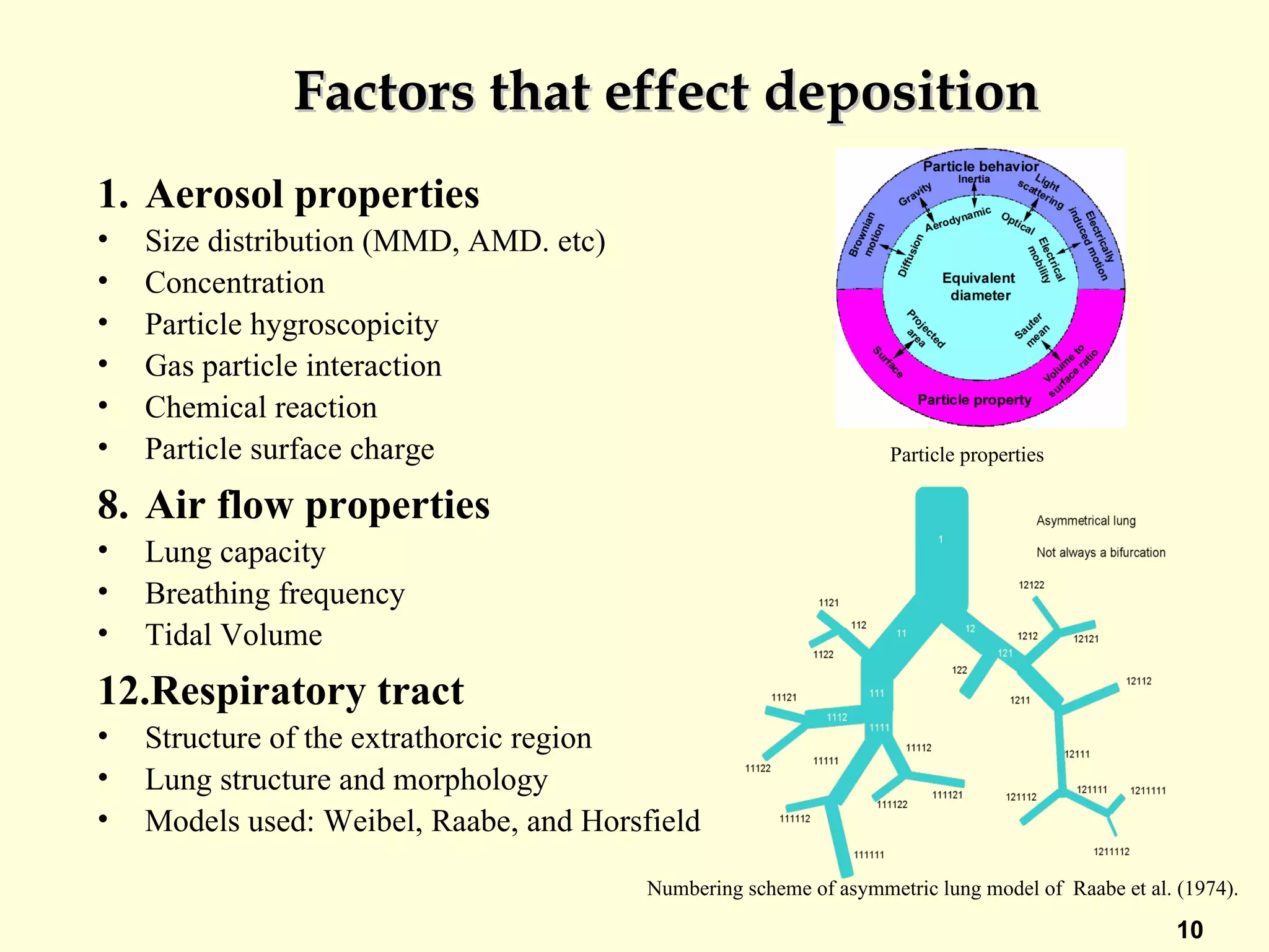 Implementation Of Charged Particles Deposition In Stochastic Lung Model