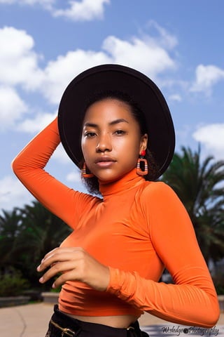 Modelling Pictures | PDF