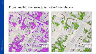 Modelling Trees with FME | PPT