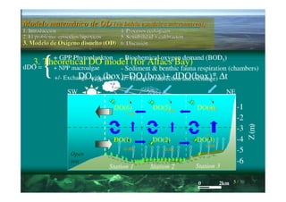 Modelo matemático para el pronóstico de la concentración de oxígeno disuelto en la bahía de ...