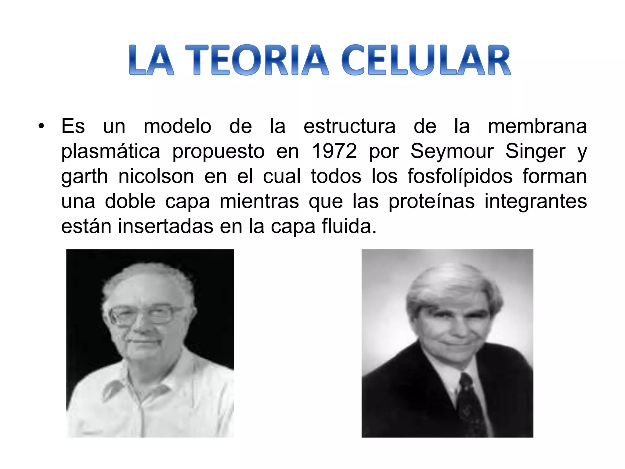 Modelo singer-y-nicolson | PPTX