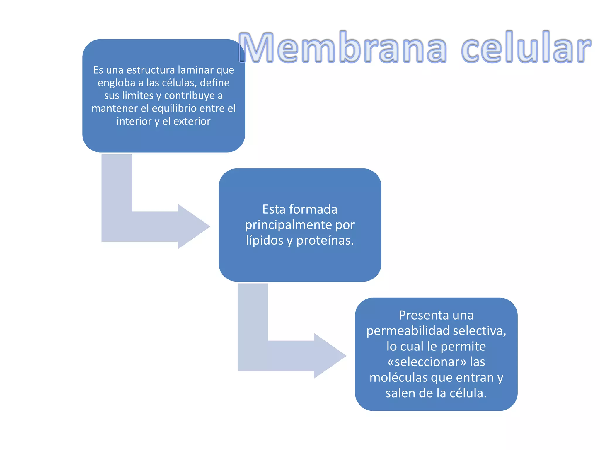 Modelo singer-y-nicolson | PPT
