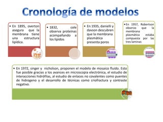 Modelo singer-y-nicolson | PPTX
