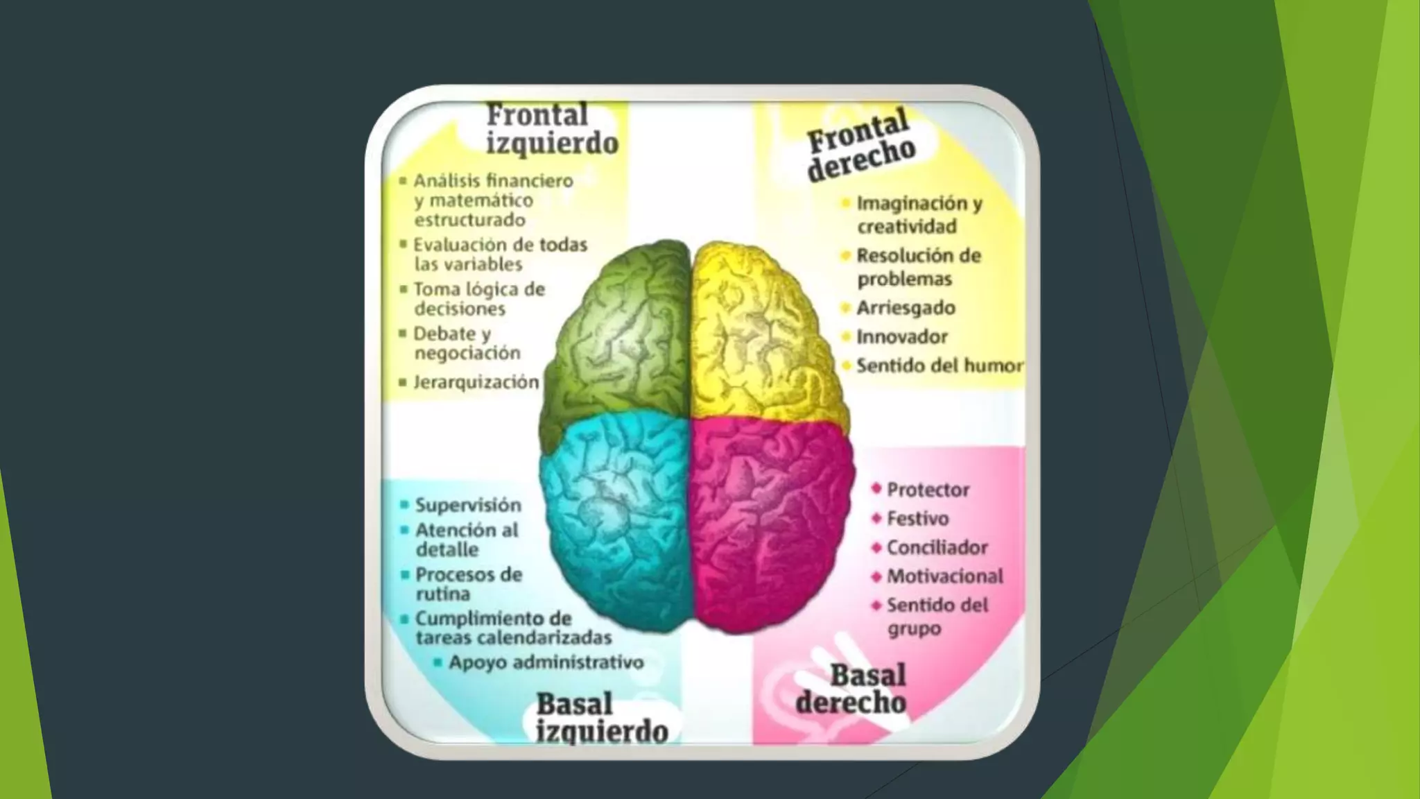 Modelo cuadrante cerebral de Ned Herrmann | PPTX