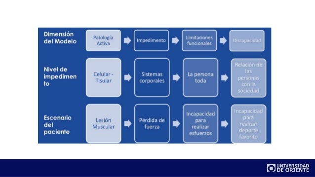 Modelo de nagi y wood