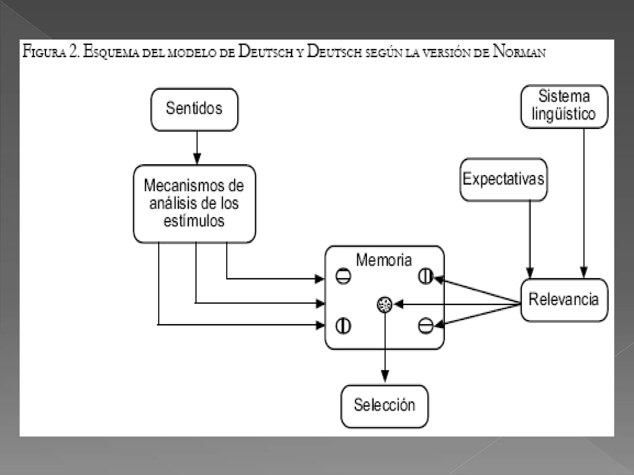 Modelo de norman y bobrow | PPTX