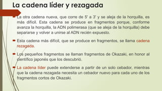 Modelo de síntesis de ADN biología Molecular | PPTX