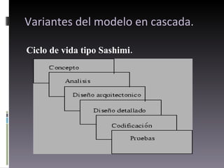 Modelo En Cascada | PPT