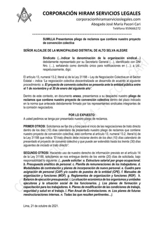 MODELO ESCRITO DE PLIEGO DE RECLAMOS SECTOR PÚBLICO LEY 31188 | PDF