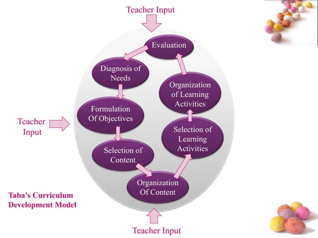 Models of curriculum dvelopment | PPTX