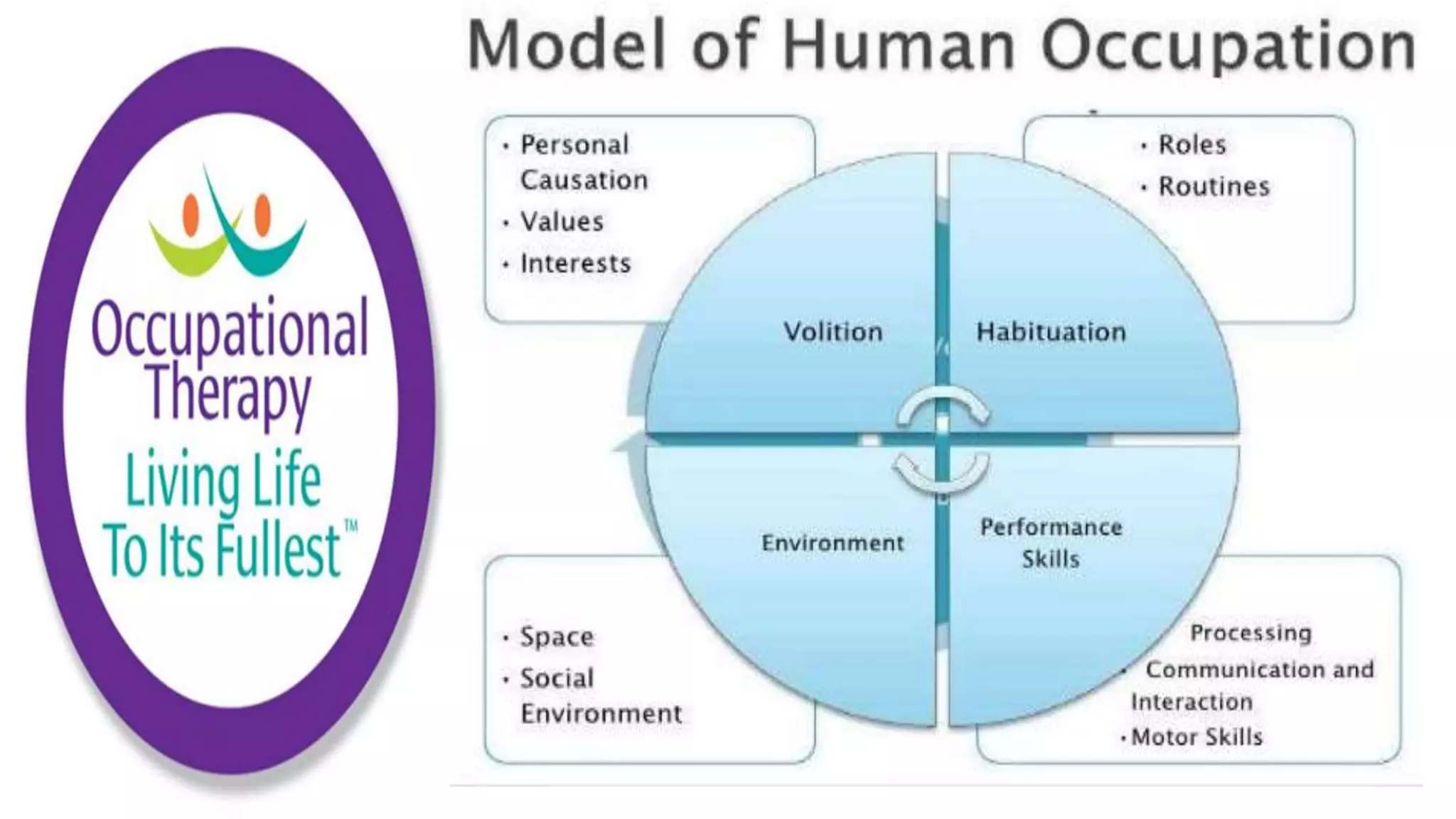 Grondbeginselen van de Ergotherapie Model Of Human Occupation (MOHO) part 2 | PPT