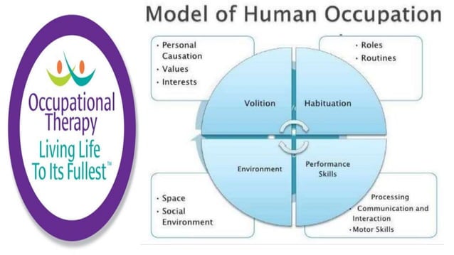 Grondbeginselen van de Ergotherapie Model Of Human Occupation (MOHO ...