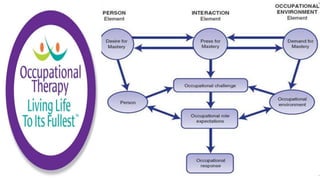 Applying The Model of Human Occupations | PPTX