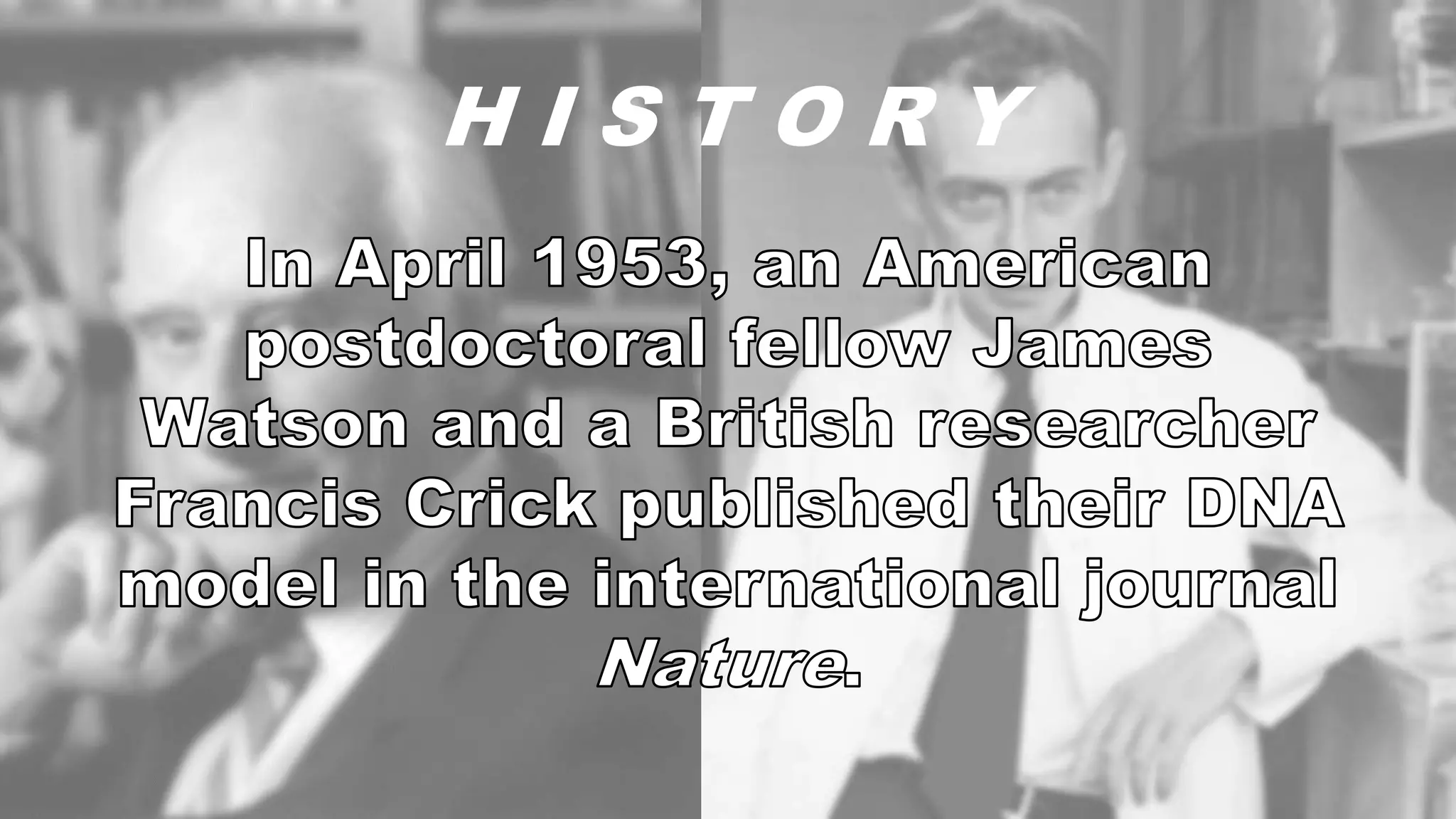 Model of the DNA | PPTX