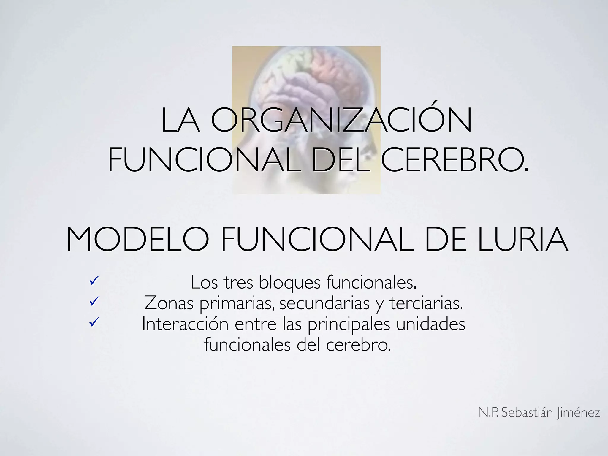 Modelo Funcional De Luria | KEY