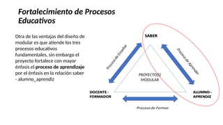 Modelo Nectli Tecnologico Nacional De Mexico Pptx