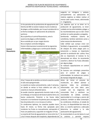 MODELO_PNT_AGUAYMANTO.pdf