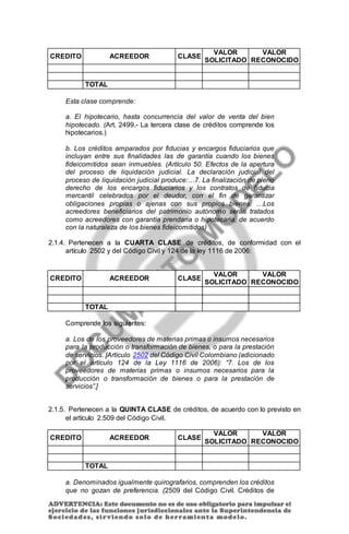 Modelo proyecto de calificacion y derechos de voto | PDF | Government ...