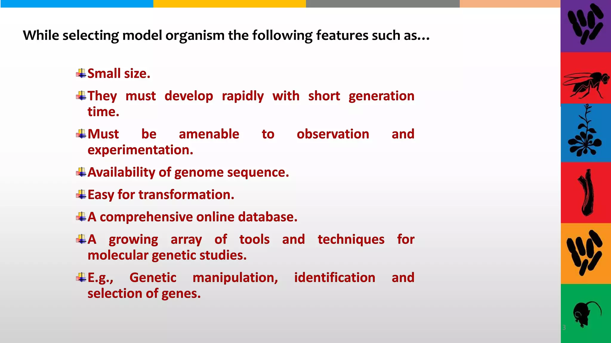 Model organism | PDF