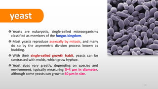Model organism | PDF