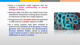 Model organism | PDF