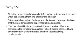 Model Organism what and why it is required, examples | PPTX