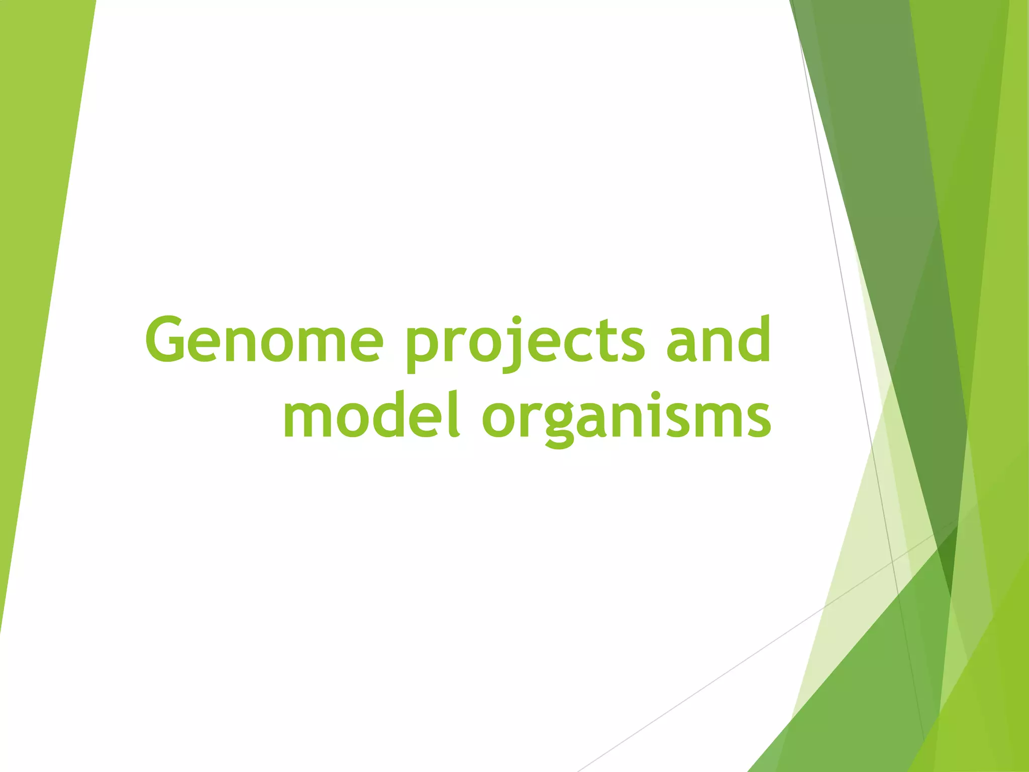 Model organisms | PPT