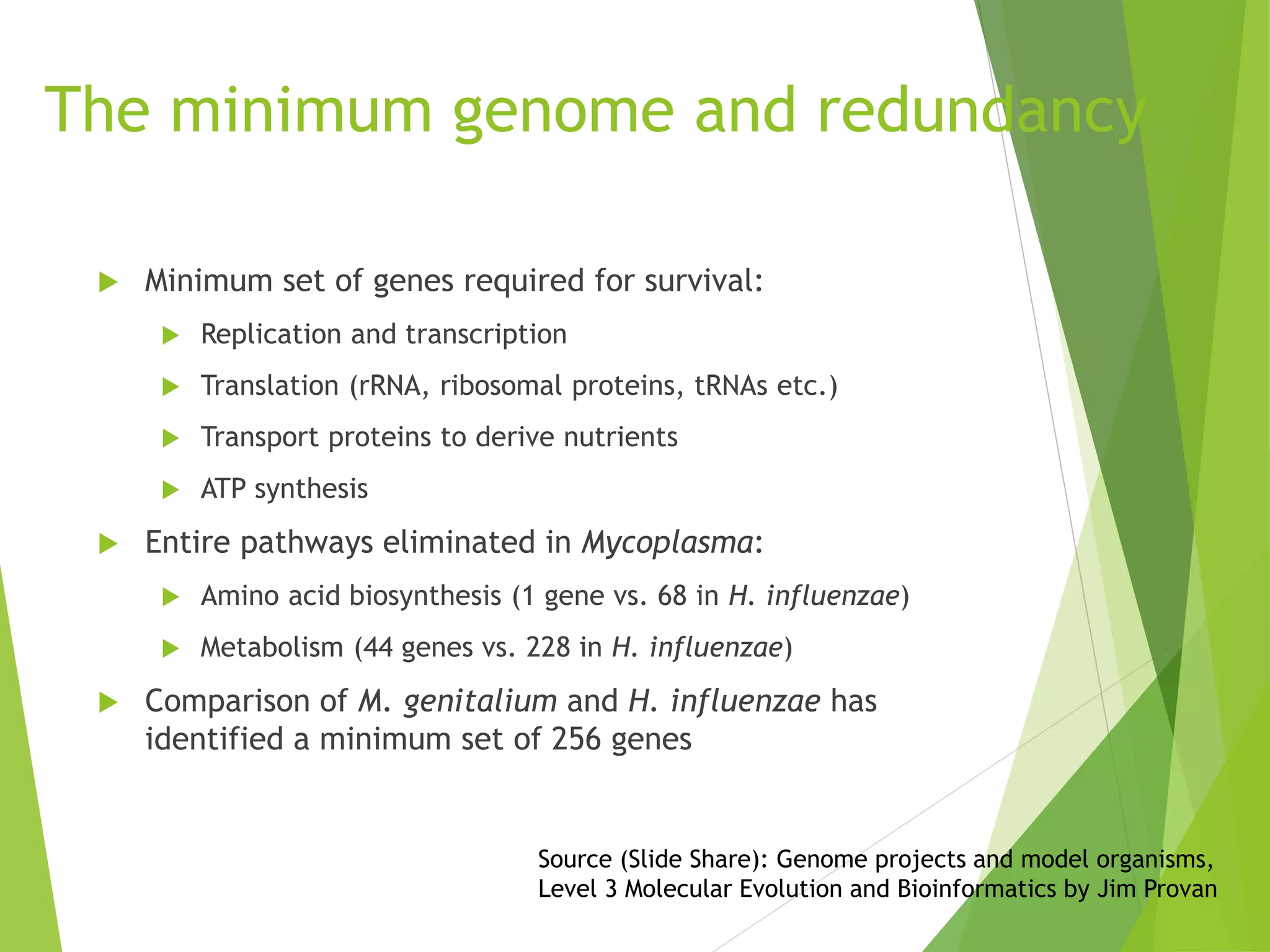 Model organisms | PPT