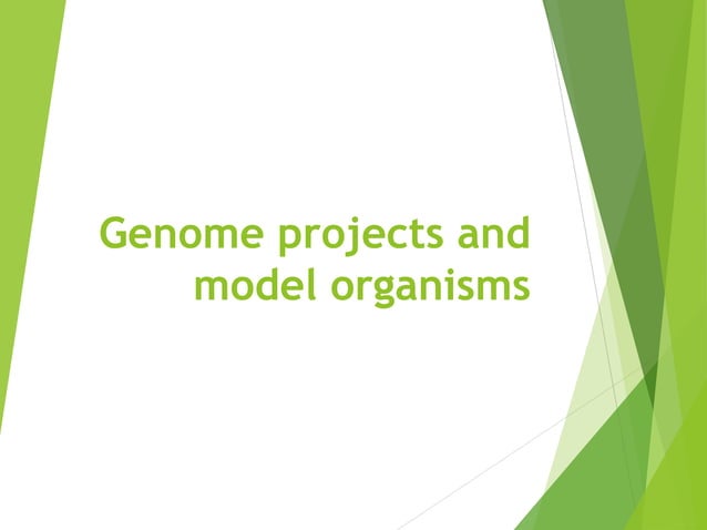 Model organisms | PPT | Biological Sciences | Science