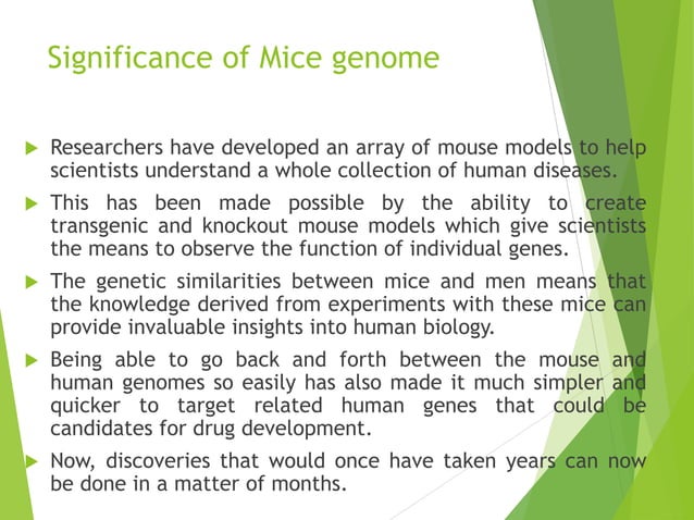 Model organisms | PPT | Biological Sciences | Science