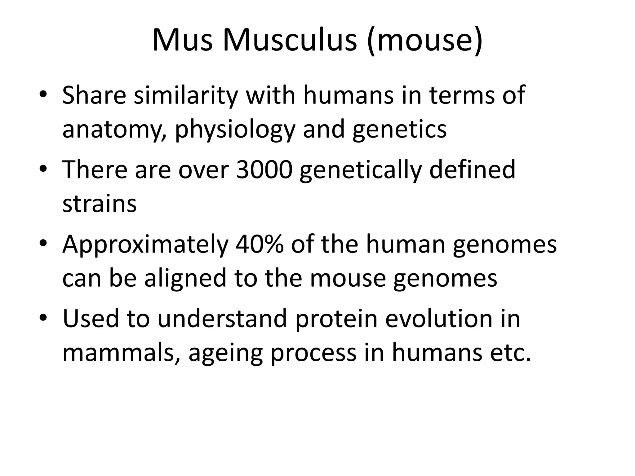 model organisms.pptx