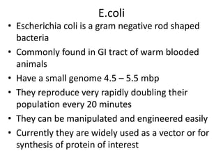 model organisms.pptx