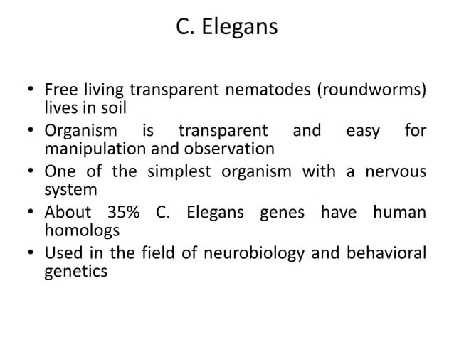 model organisms.pptx | Biological Sciences | Science
