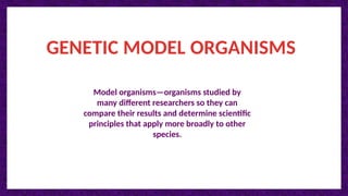 MODEL ORGANISMS 1 : EXAMPLES, CONTRIBUTION, ADVANTAGES | PPTX