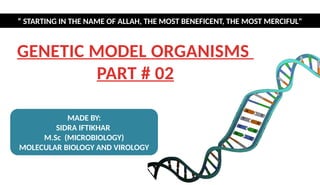 MODEL ORGANISMS 2: EXAMPLES, CONTRIBUTION AND ADVANTAGE | PPTX