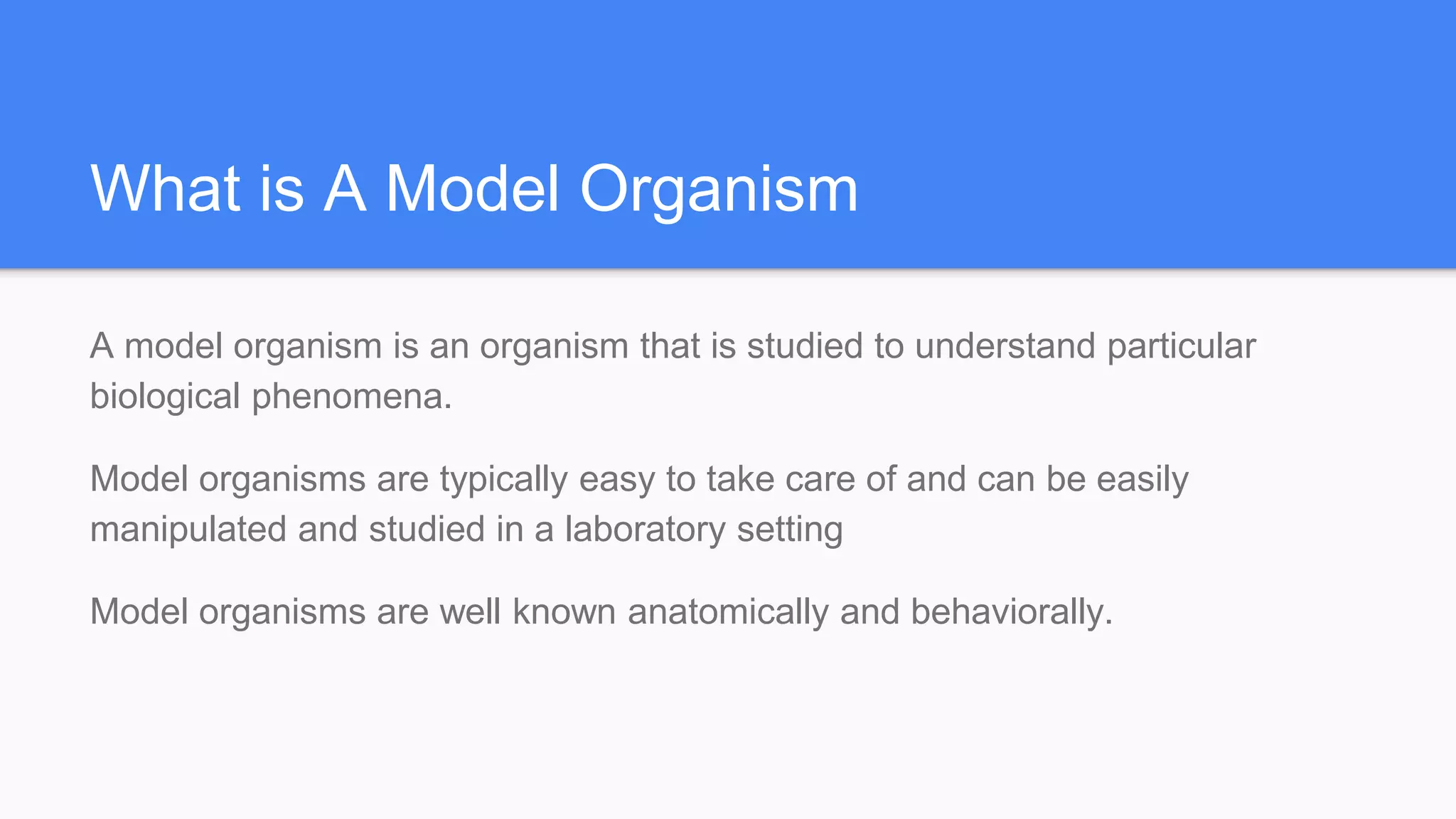 Model organism the octopus and cuttlefish (1) | PPT