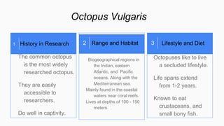 Model organism the octopus and cuttlefish (1) | PPTX