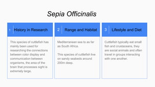 Model organism the octopus and cuttlefish (1) | PPTX